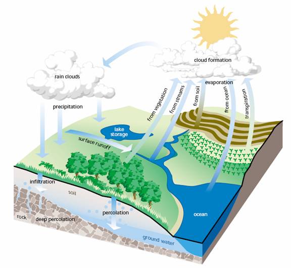 Capturing Rainwater for Landscape Plantings – RecycledH2O